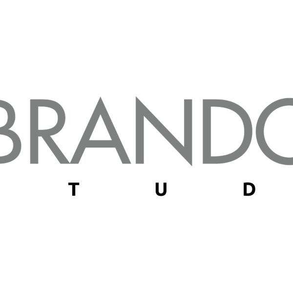 Who and What Is Brandoville Studios? Understanding The Recent Worker ...