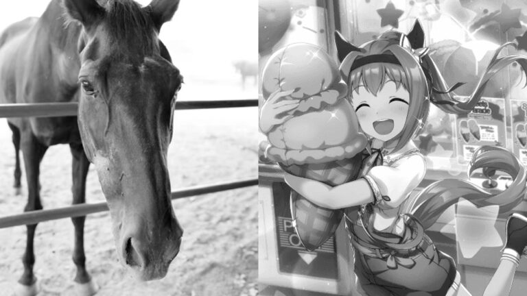 Haru Urara, Japan’s Beloved Racehorse that Inspire a Character in "Uma ...
