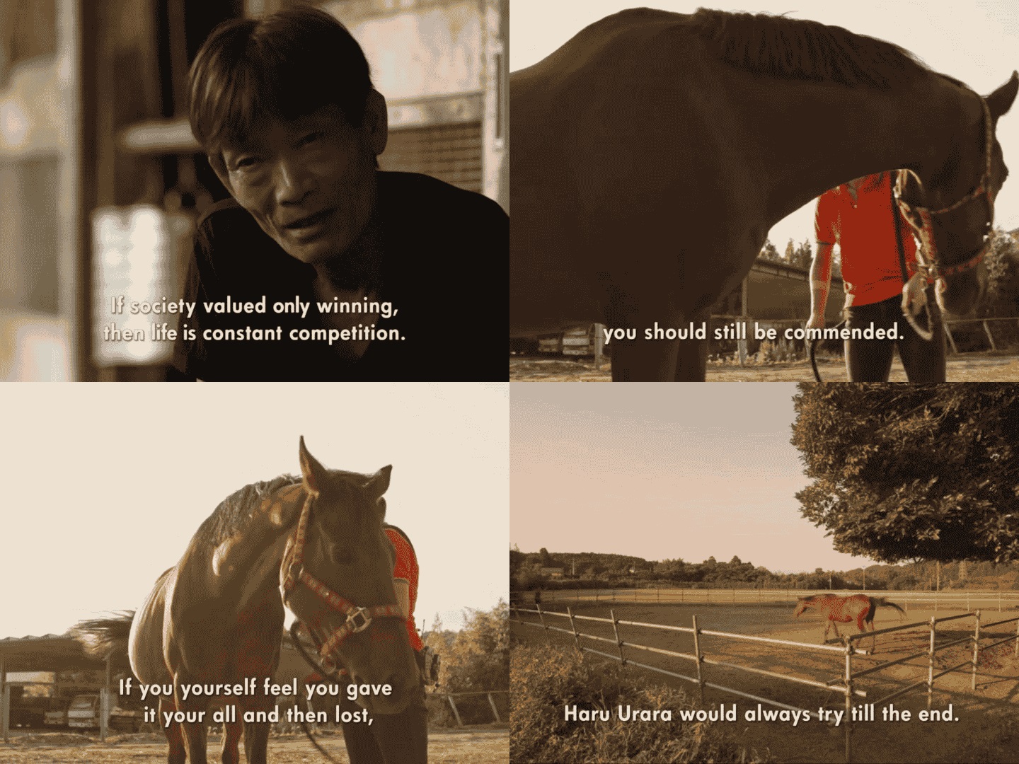 The Bittersweet Life of Haru Urara: Forced to Race, Then Abandoned ...